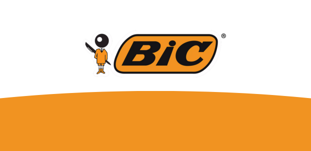 GOVERNANCE EVOLUTION AT BIC